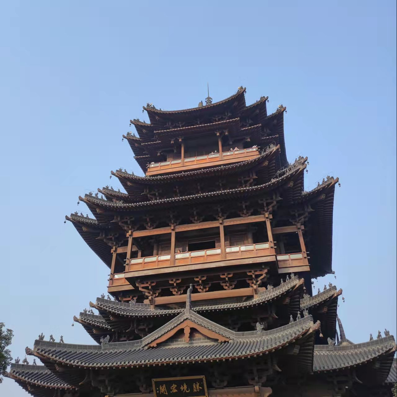 老贾1010 