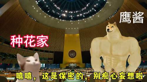 从此攻守易形了,寇可往,我亦可往! Cheems 神动画计划 嫦娥六号