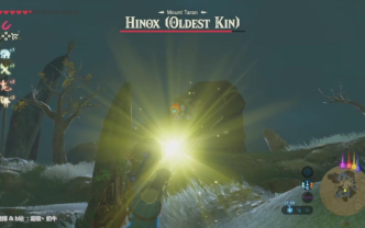 荒野之息 光之弓 随时随地使用展示