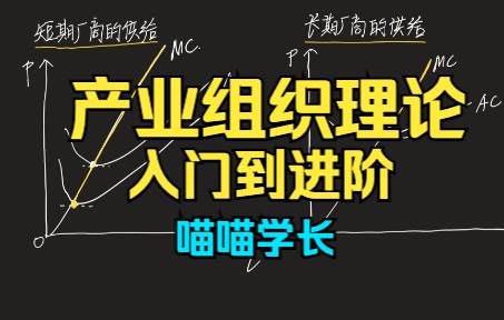 产业组织理论:从入门到进阶