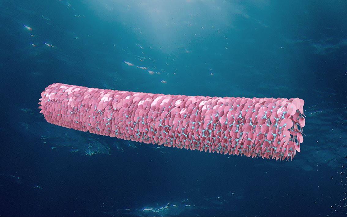 碳管生长纳米片