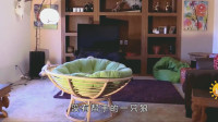 为何,狼和狗打架,最后狼却输惨了?背后的隐情却是这样?