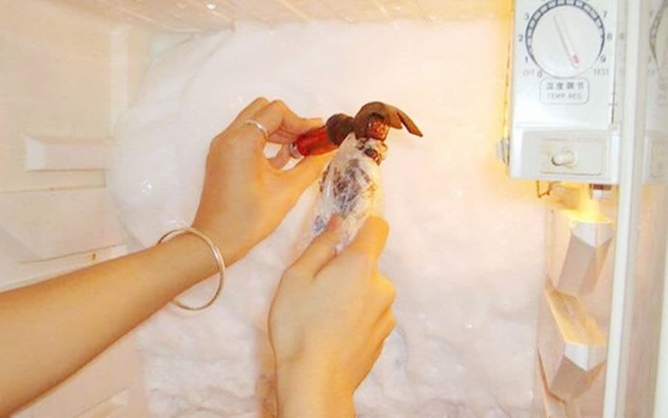 冰箱内壁结冰怎么办?只要按下这个“开关”,问题立刻解决