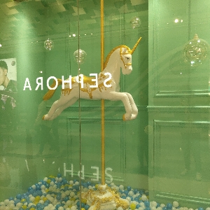 喵酱小黑豆 