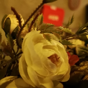 啊芊今天又不在家 