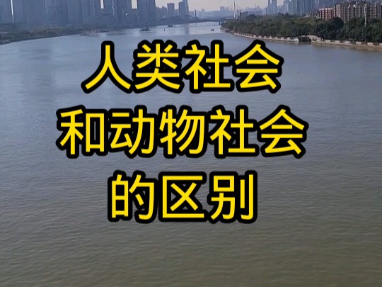 人类社会和动物社会的区别