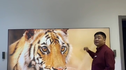 爱普生LS800B幕布推荐指南,想要入手LS800B的小伙伴们记得看完,...