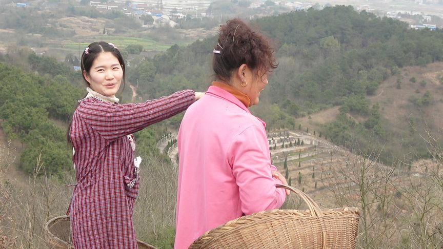 塘主晨晨:农村婆婆带两儿媳在山上找啥宝贝,最后收获怎么样