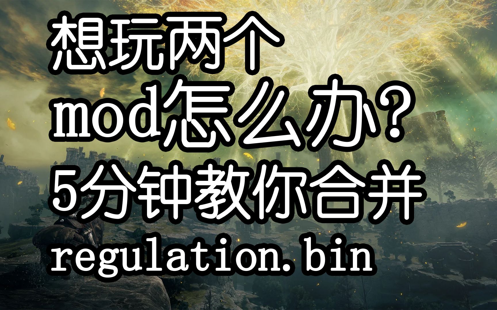 想玩两个mod怎么办? 5分钟教你合并法环regulation.bin文件 使用DS...