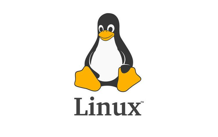 Linux系统基础入门