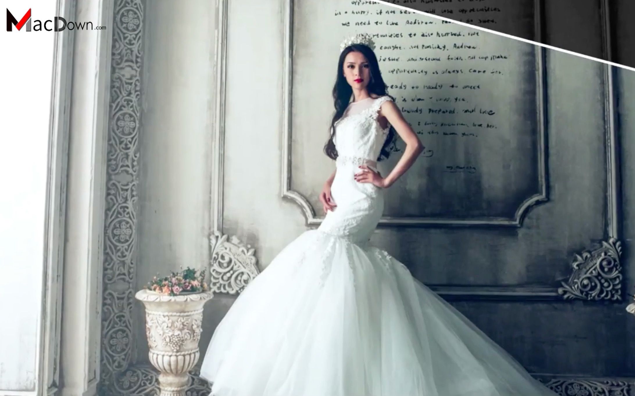 优雅的婚礼幻灯片照片AE模板