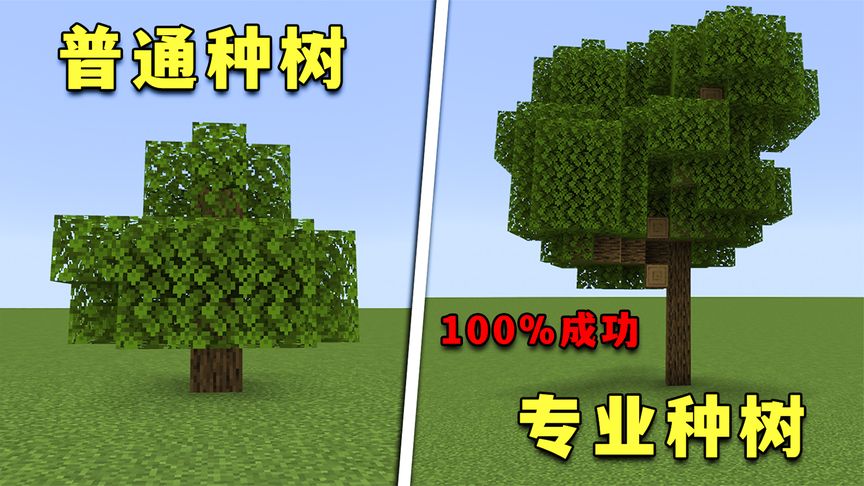 我的世界:你真的知道怎么种树吗?4个进阶隐藏特性