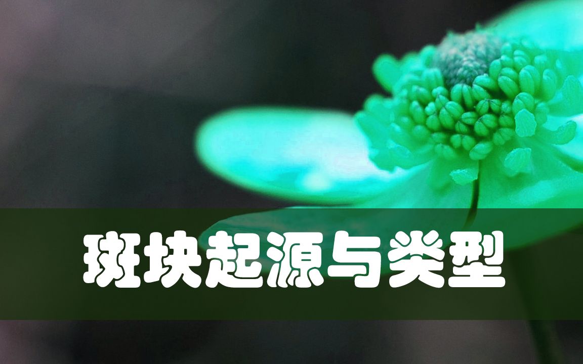 斑块起源与类型