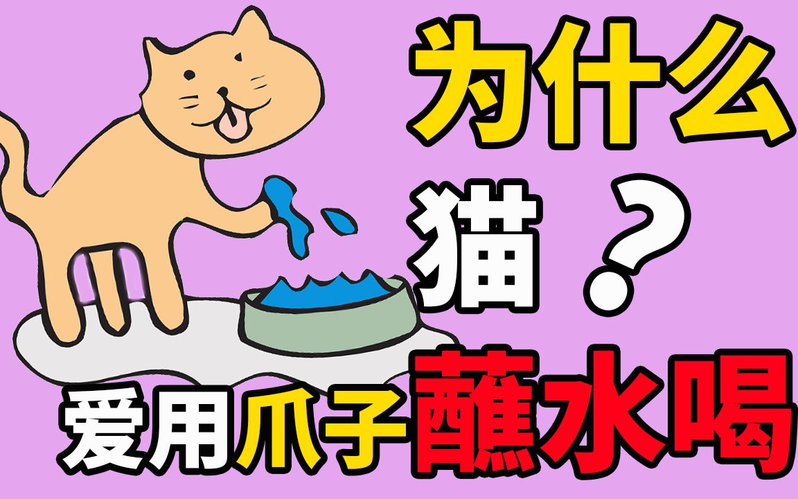 猫为什么爱用爪子蘸水喝?这样更好喝吗?