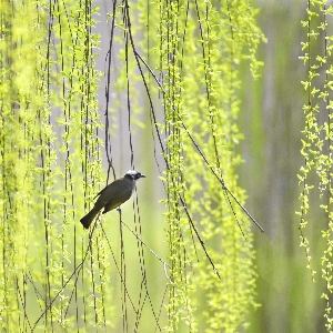 药视角 