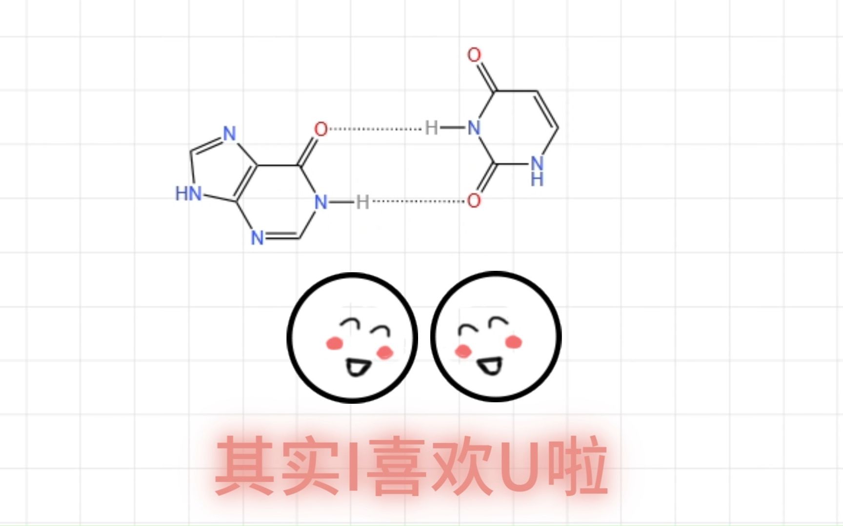 次黄嘌呤 I 和尿嘧啶 U 的恋爱故事 からかい問題