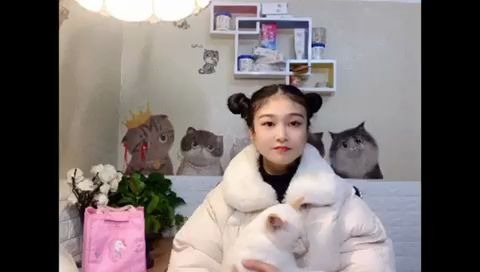 猫咪喷嚏都是浓鼻涕