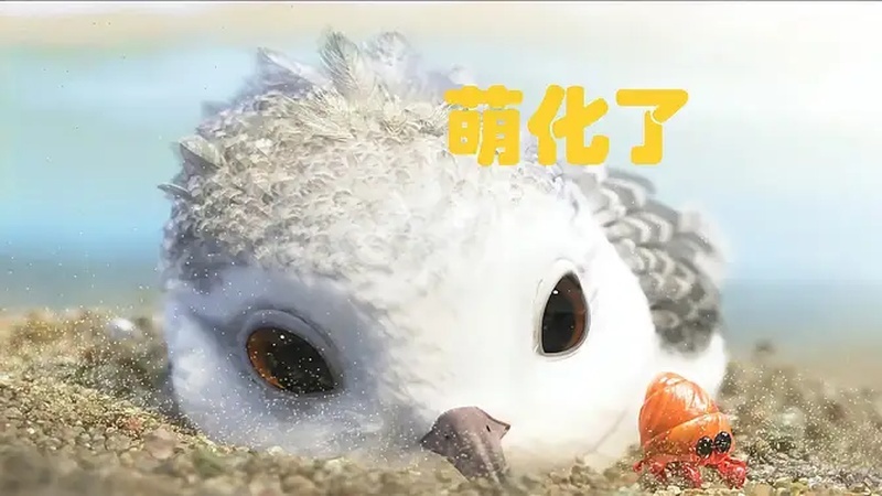 奥斯卡最佳动画短片,真的萌化了,不仅治愈而且很有教育意义