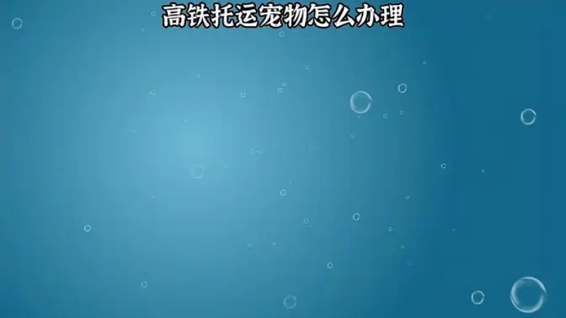 高铁宠物托运流程及优化建议