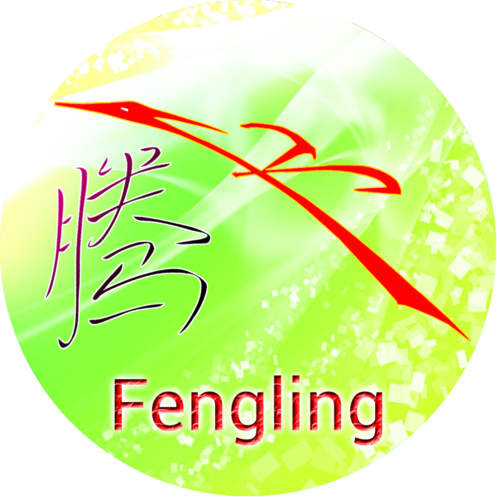 fengling1990 