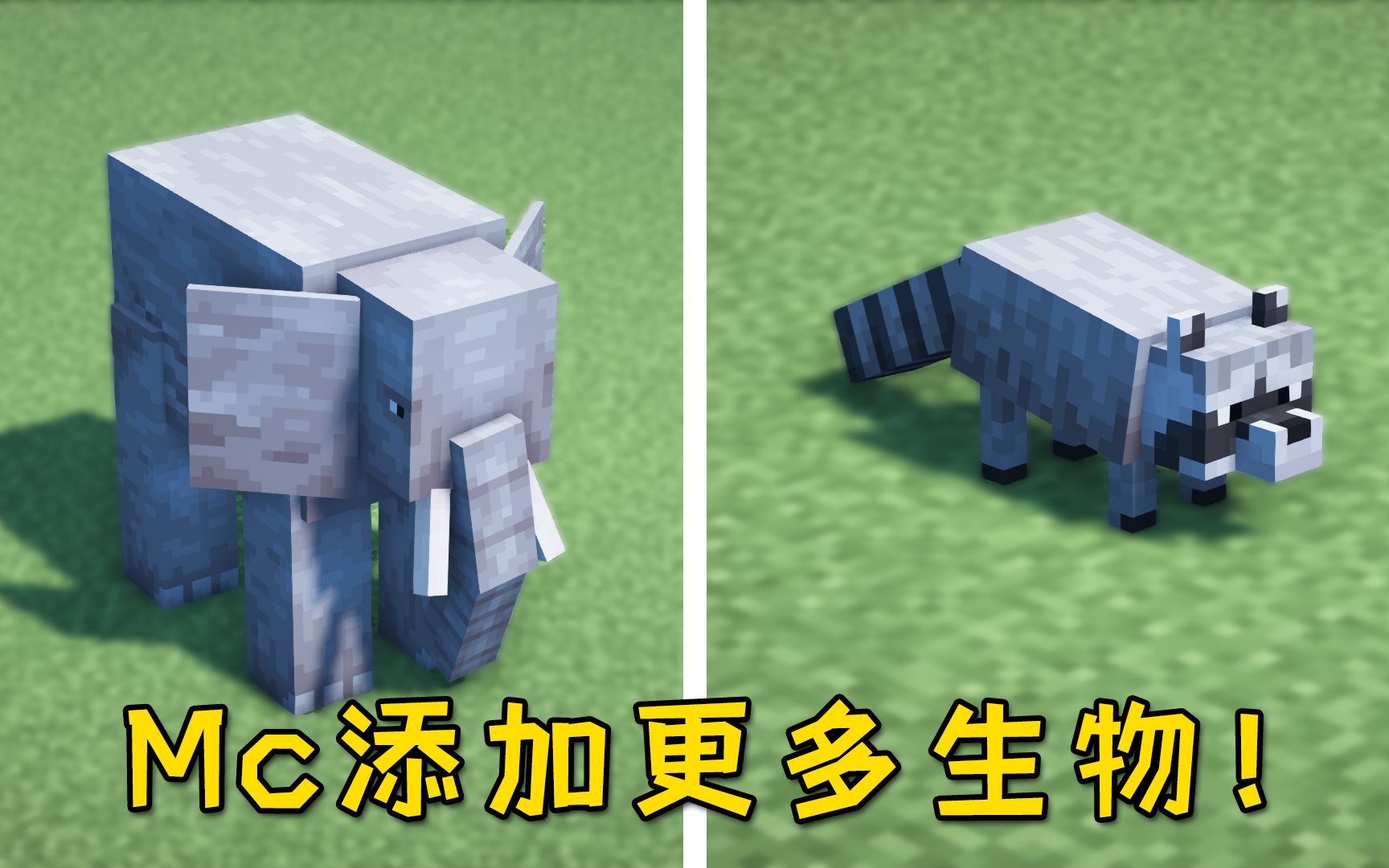 假如mc添加各种现实中的生物?小浣熊还会伸手讨食物!超可爱