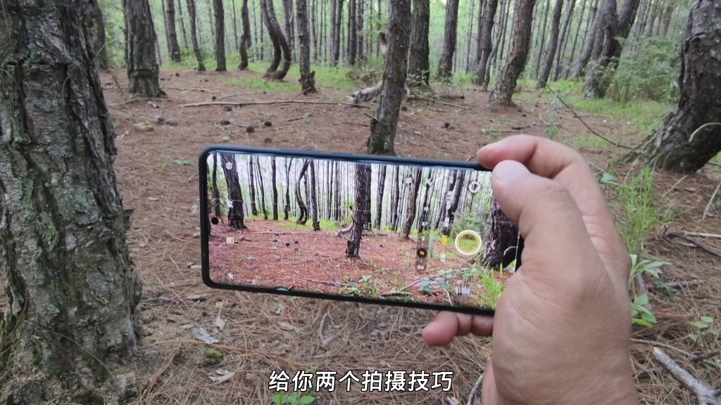 光影:粉丝问我,照片比例有什么作用?