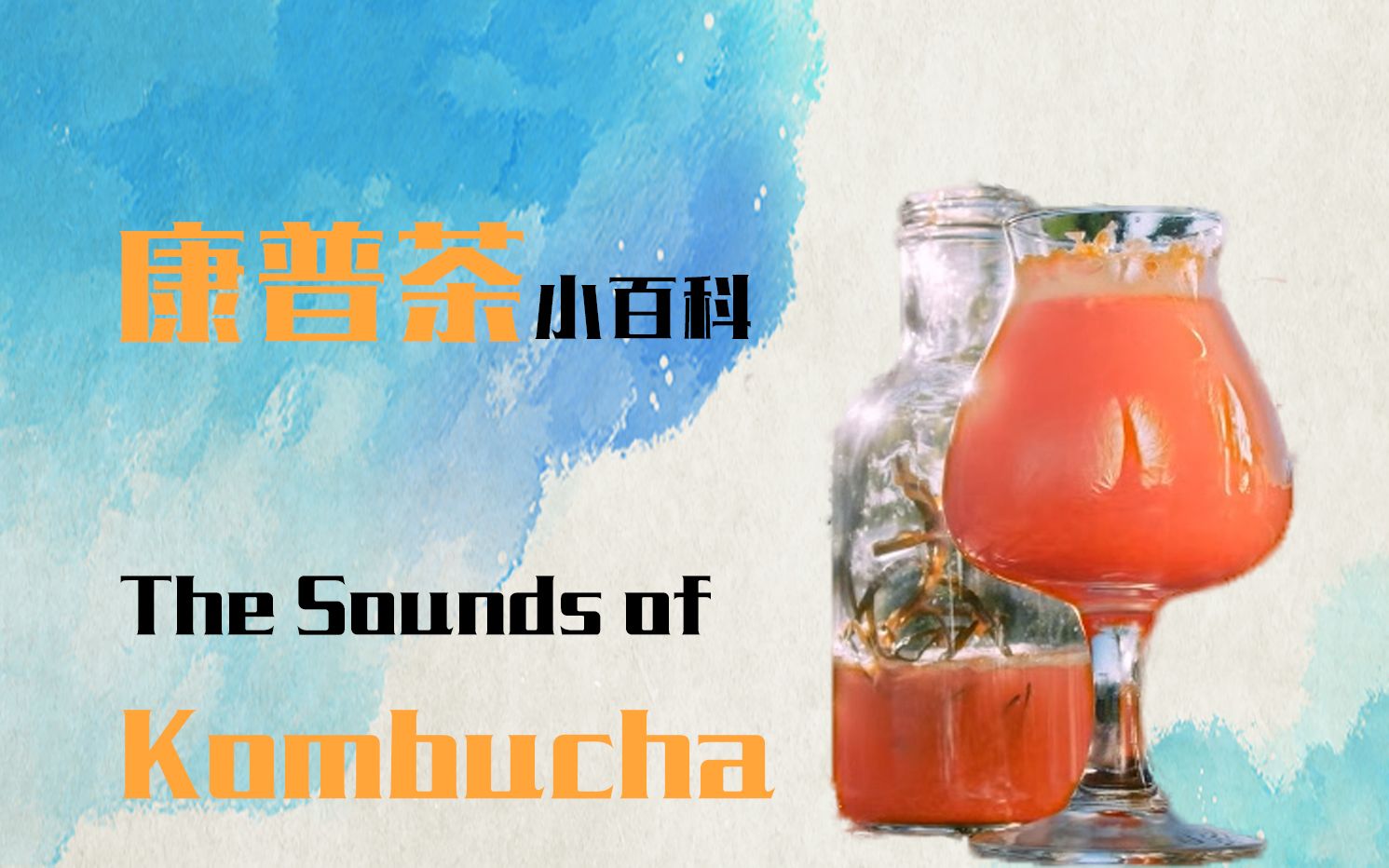 ...啦!今天来点不一样的,超治愈超解压,康普茶制作过程中的那些声音~