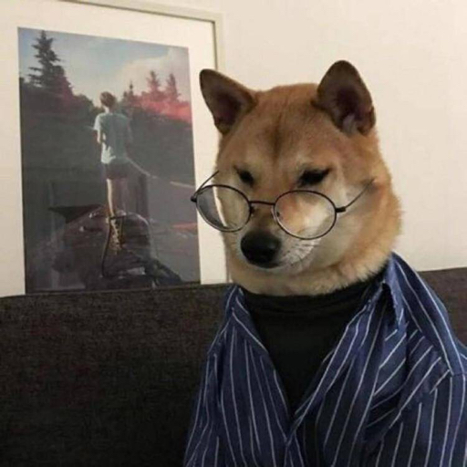 王树先生Wkaa 