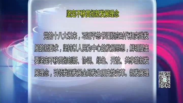 坚定不移贯彻新发展理念
