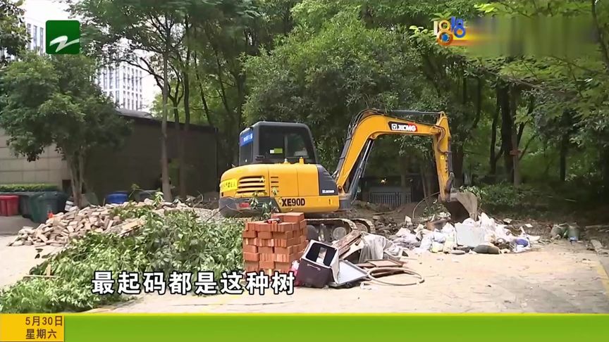 挖掘机开进小区香樟树被挖 绿化破坏要做垃圾点?业主们抱怨大