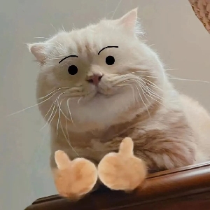 S2HUANG 