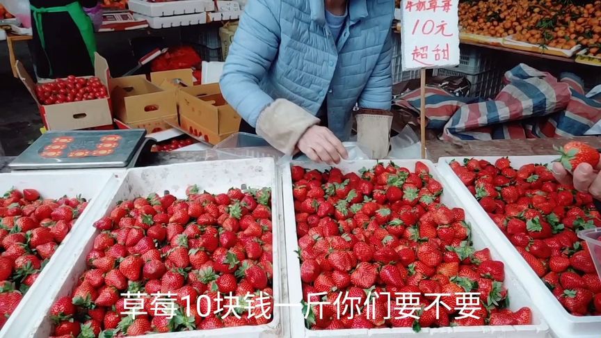 喜欢草莓吗?你们那边的草莓多少钱一斤吖