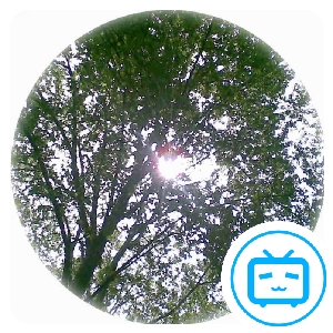 不爱游戏的ri712 