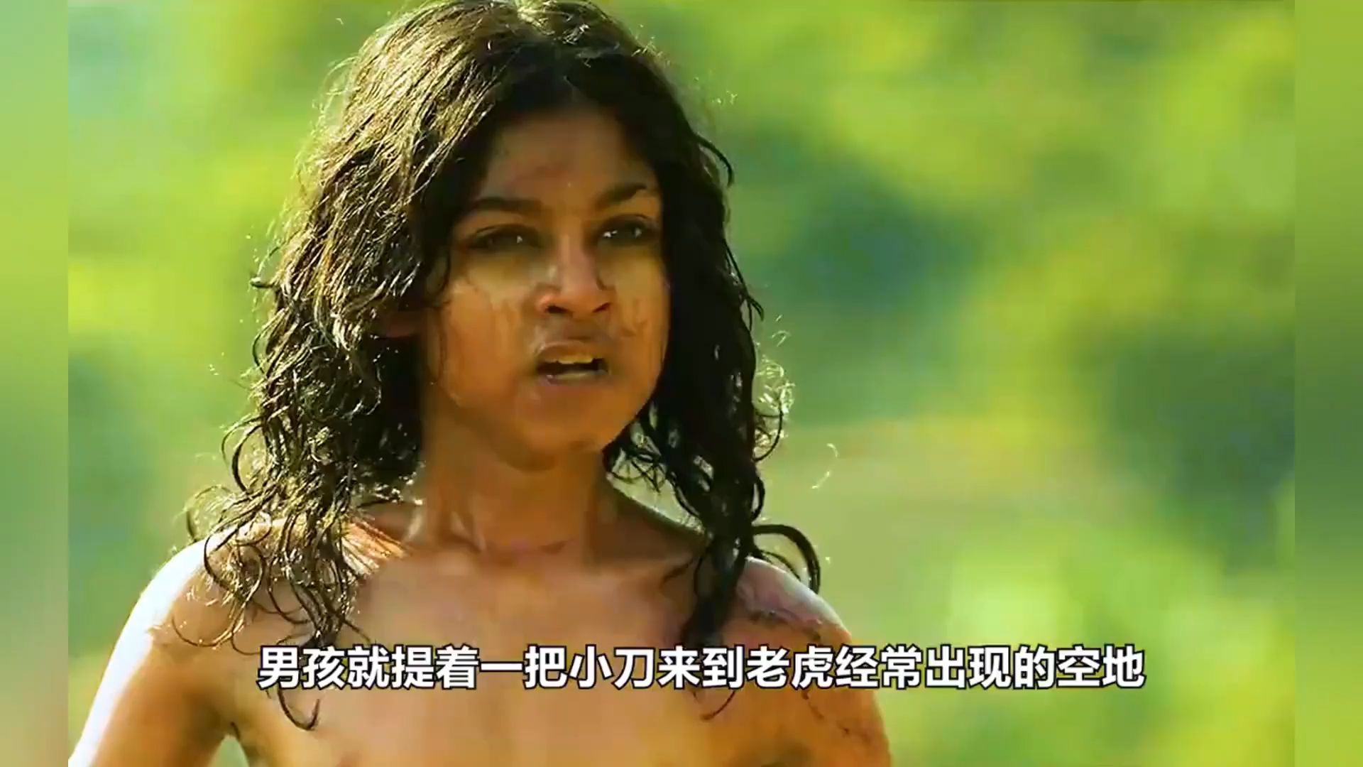 男孩替巨象夺回象牙,徒手反杀猛虎《森林之子毛克利》