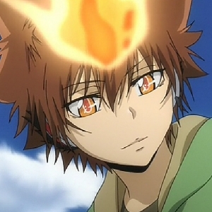 汪啃骨头喵吃鱼 