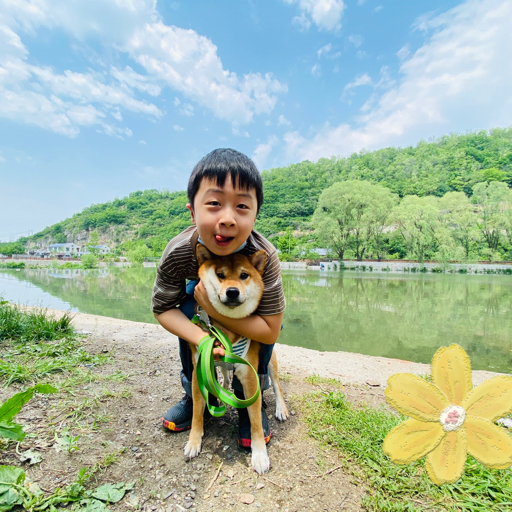 小刘的狗子叫阿财 