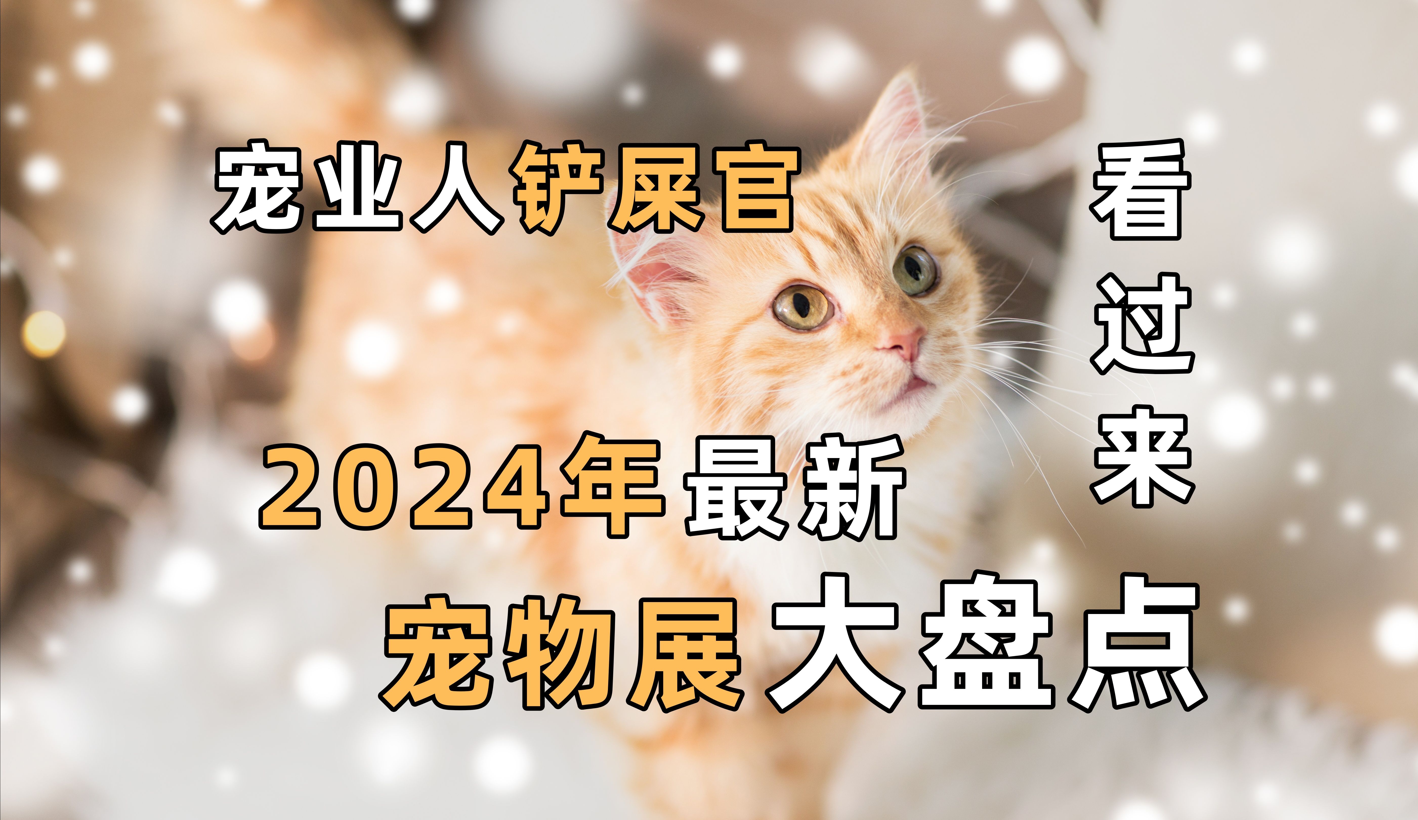 2024年宠物展大盘点,宠业人、铲屎官们看过来!