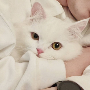 江晚书_ 