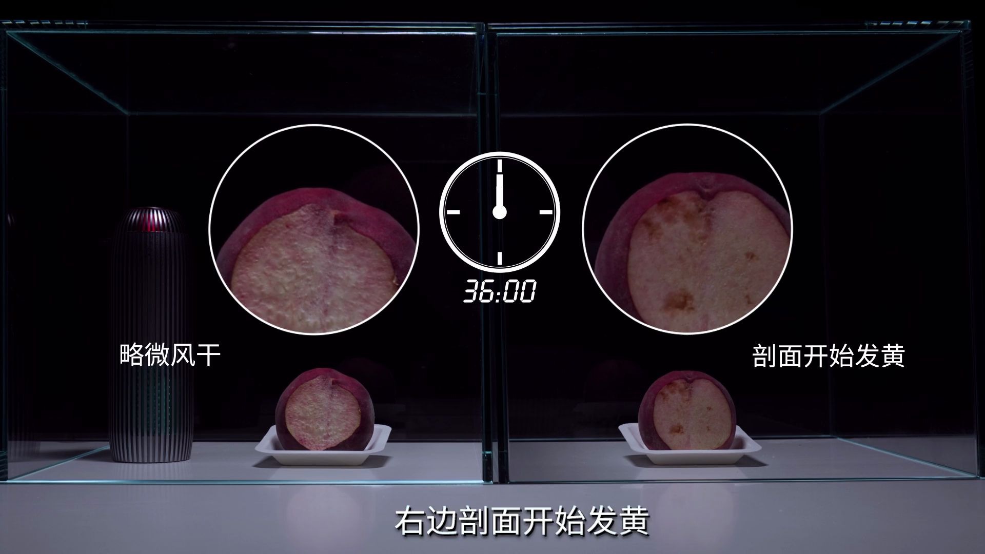 【实验】空气净化器到底是不是智商税?