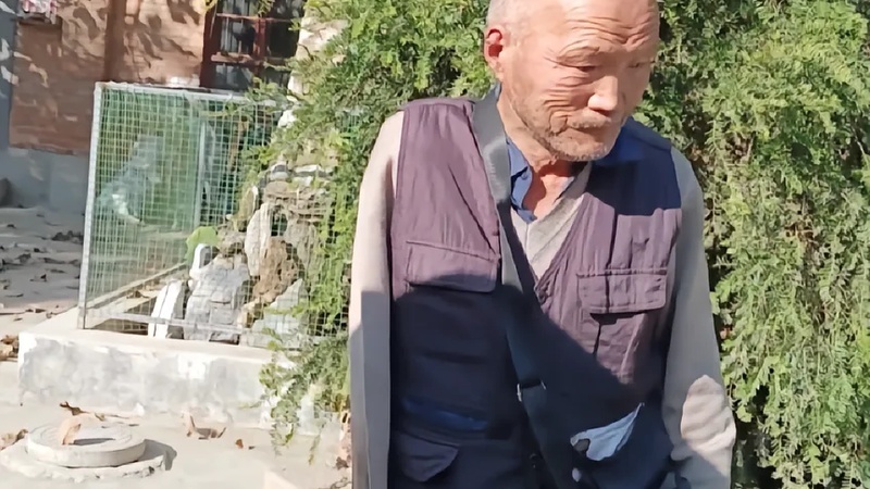 70岁高龄,虽然有些残疾,却还能这样努力去生活,看完有什么感受