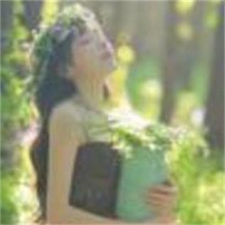 木兮手机摄影