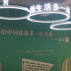 BIM-邓凌 
