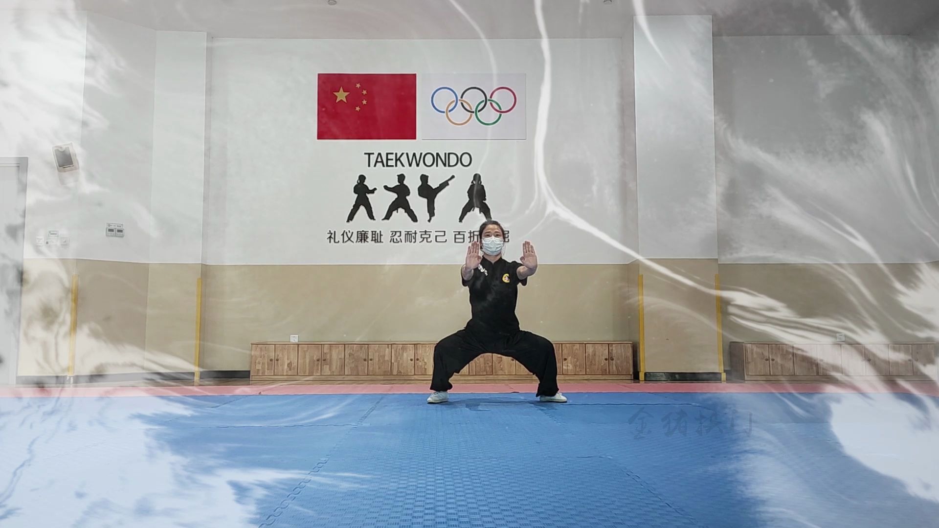 传统武术之十二生肖拳