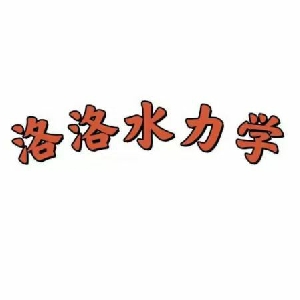 洛洛水力学 