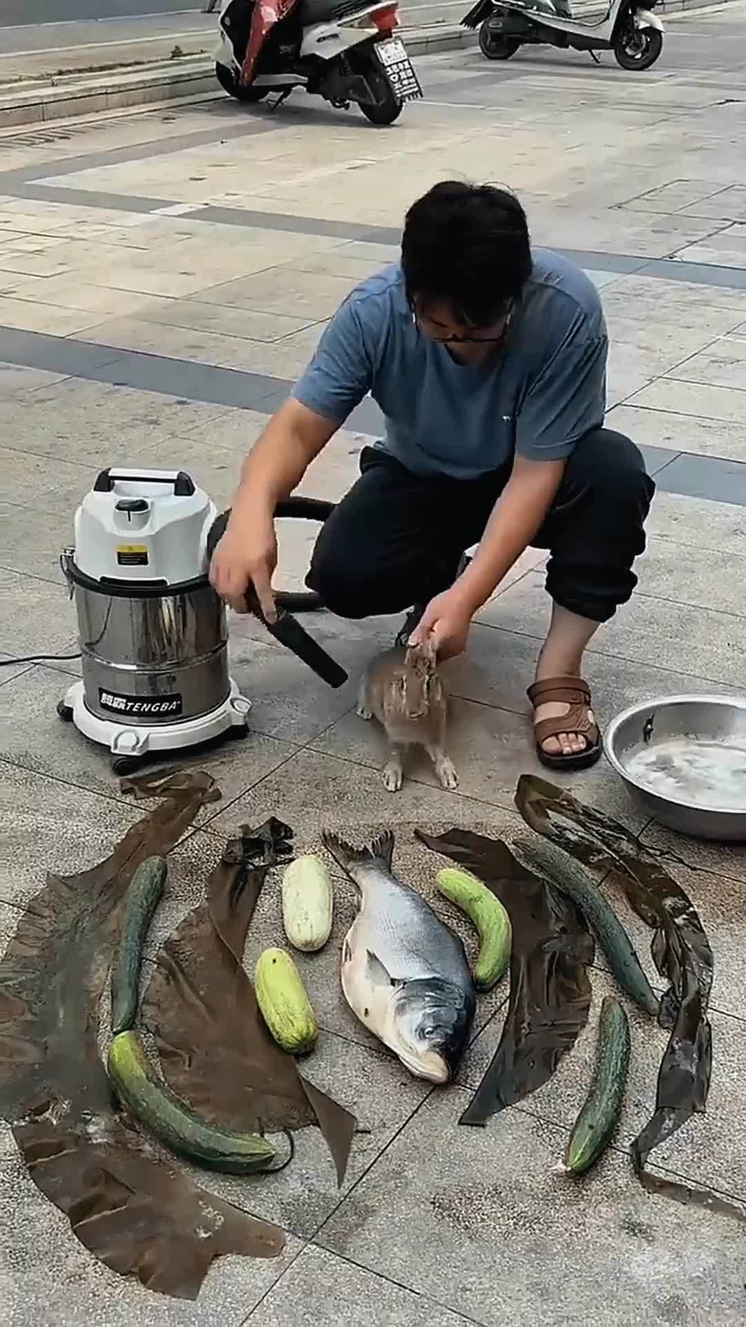 万能吸尘器,什么都能吸