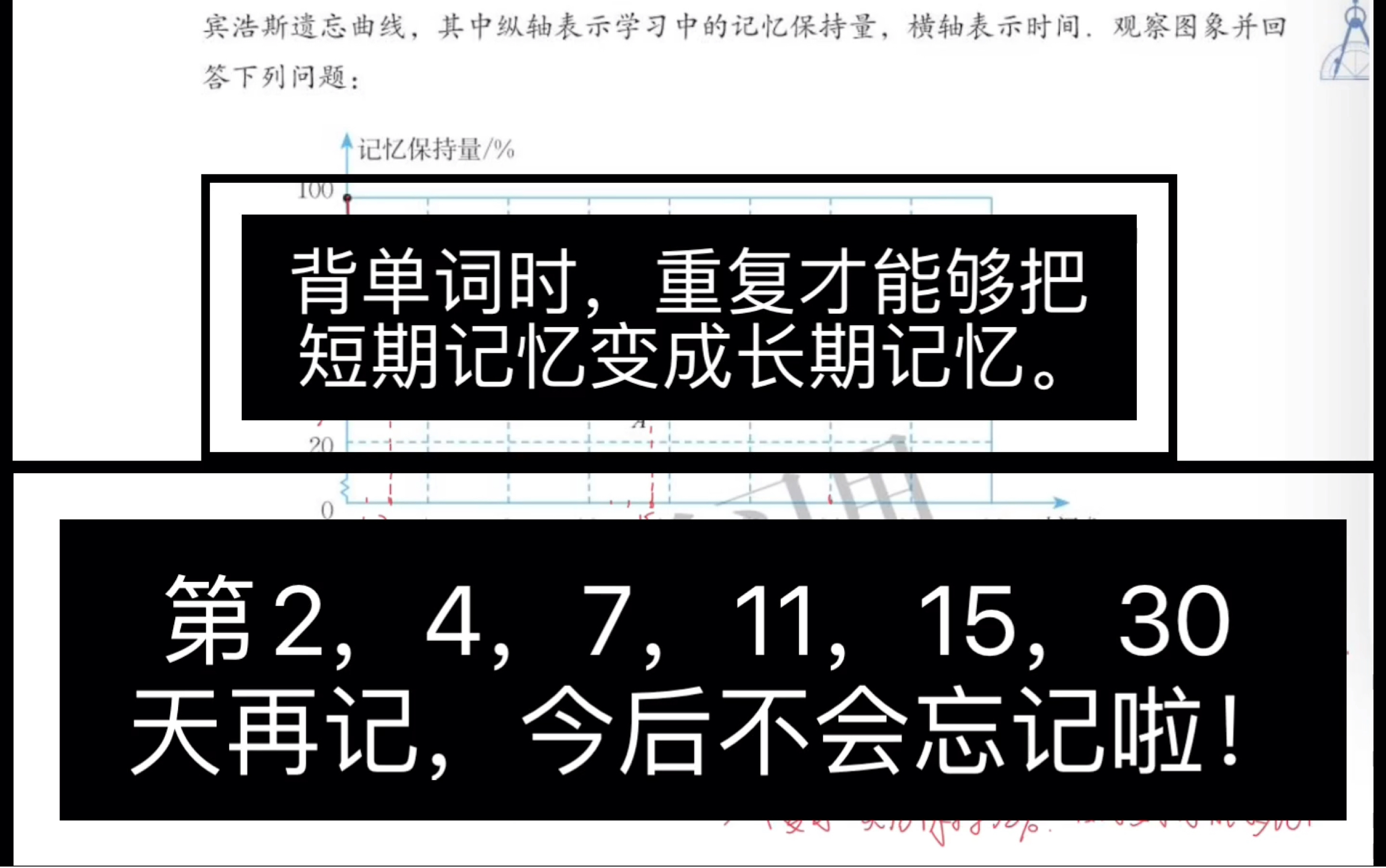 3月5日作业评讲,长期记忆的奥秘～艾宾浩斯遗忘曲线