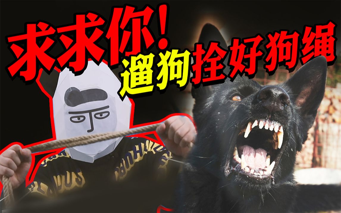 【WIE WIE 更健康】遛狗拴好狗绳
