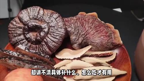疲惫烦躁别硬扛!灵芝这样吃,效果翻倍精神足