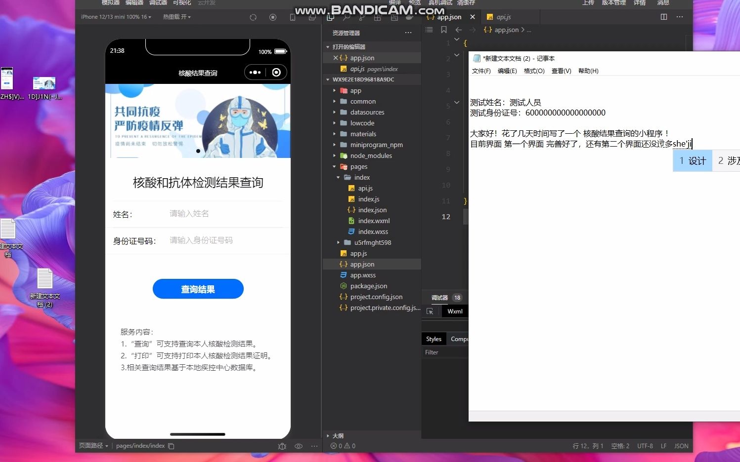 开发微信核酸检测查询小程序