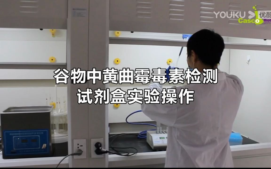 谷物中黄曲霉毒素检测试剂盒实验操作